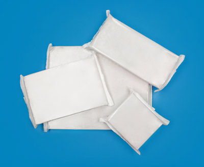 ThermaBrick® Refrigerant Bricks – Cold Shipping Packaging - Temprecision